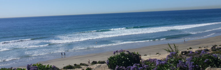 Julie Morrell, MFT – San Diego Relationship Counselor, with over 30 ...